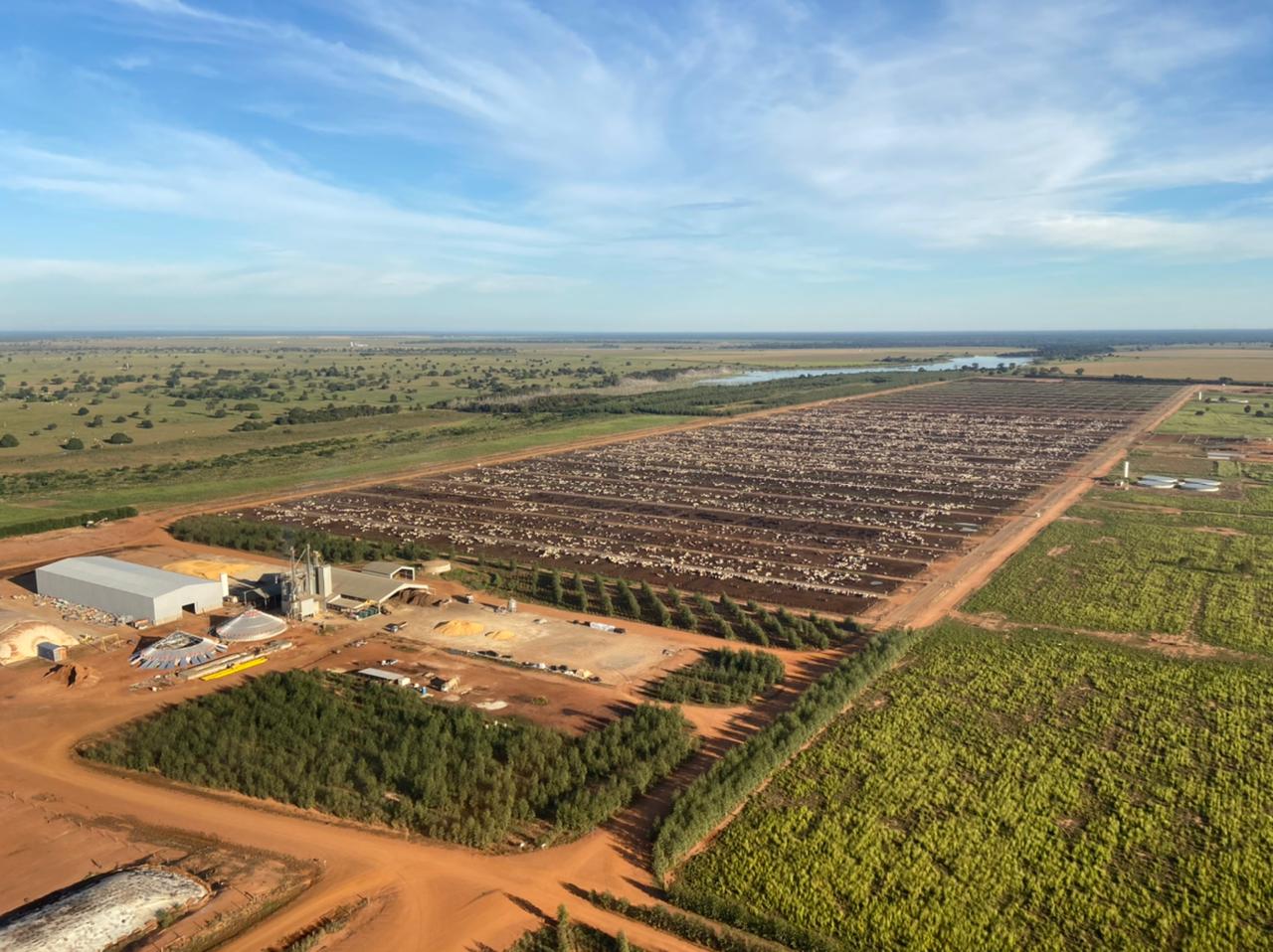 Confinamento - Plena Alimentos